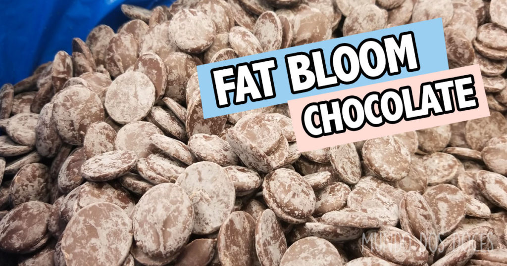 fat bloom chocolate | Mundo dos Doces